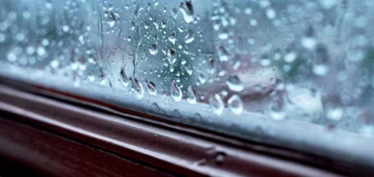 Clima en Misiones: el porcentaje de humedad seguirá elevado con ...